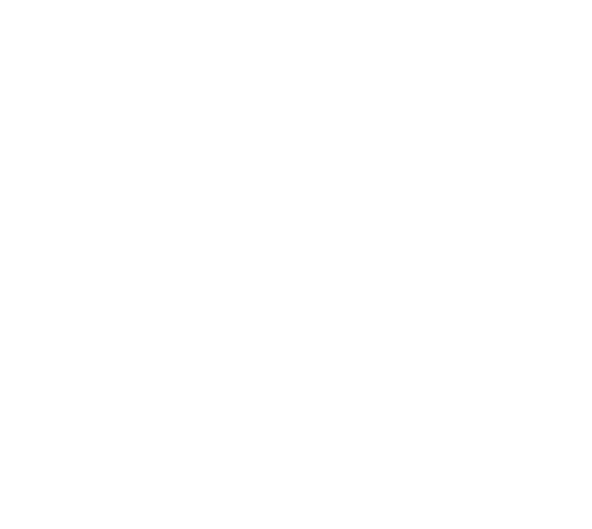 PreMon: Preform Monitoring for Preform Quality Control by INTRAVIS